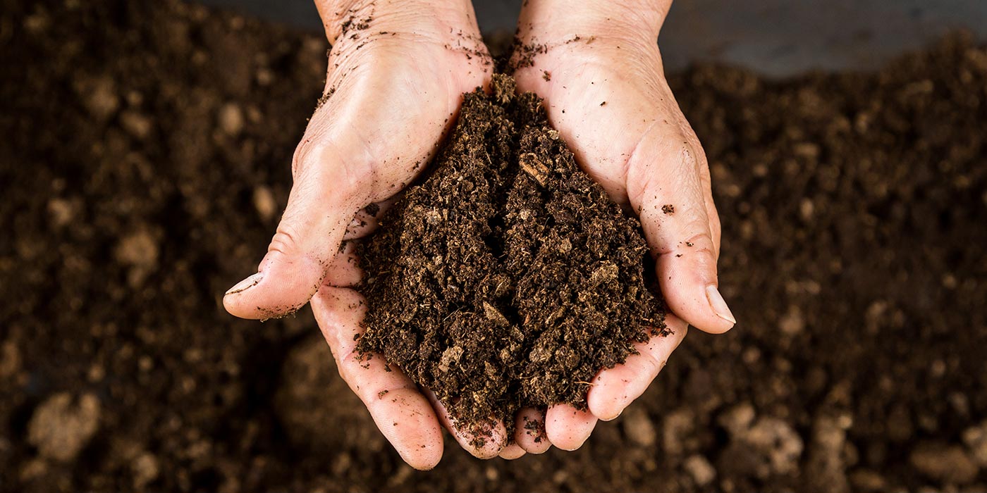 Engrais naturels et plantes, tout savoir avec les paysagistes pro