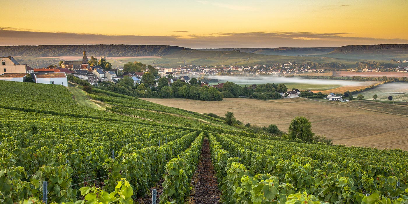 Paysagistes dans la Marne (51), trouvez le bon professionnel
